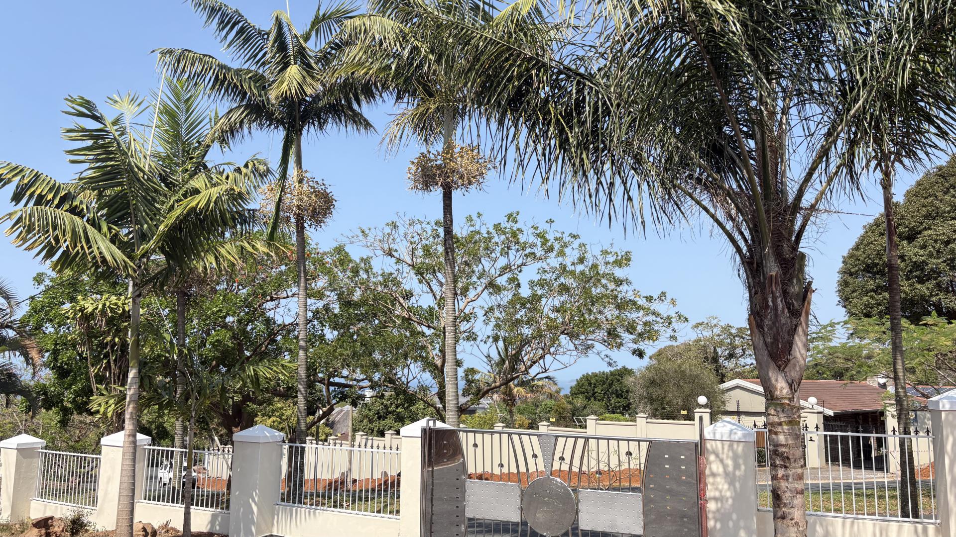 House to rent with 4 bedrooms, Virginia, Durban North | Fine & Country